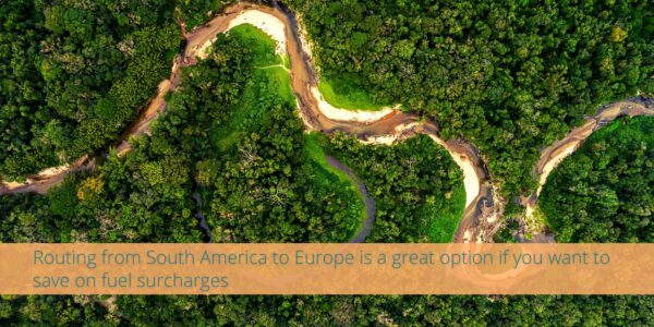 ANA Round the World Ticket: My experience booking for our family – Katie's Travel Tricks